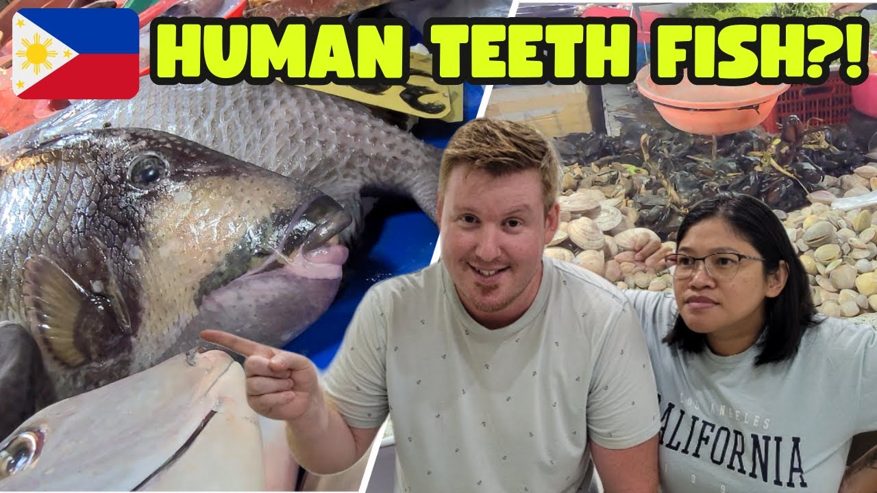 Human Teeth Fish Found at Tagbilaran City Seafood Market in Bohol ...