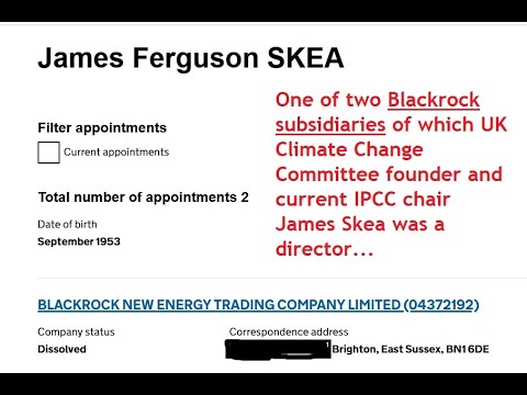Blackrock Founded UK Govt. Committee On Climate Change: James Skea ...