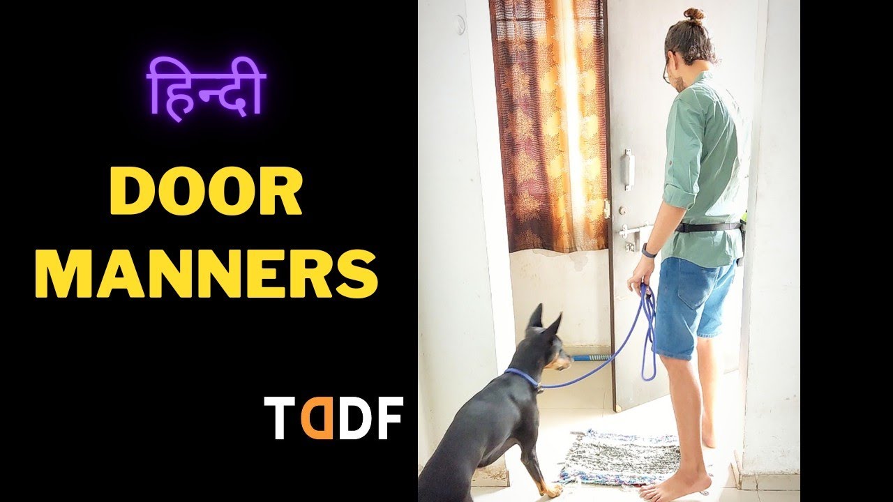 Door manners | Dog Training Course Online - YouTube