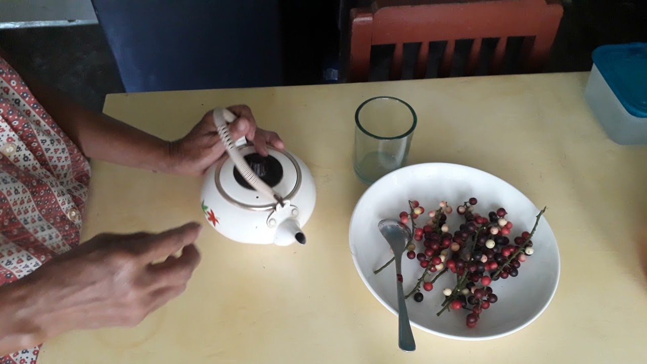 How to Make Bignay Fruit Juice at Home | Paano Gumawa ng Bignay Juice ...