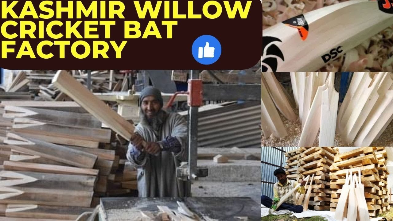 Kashmir Willow Cricket Bat Manufacturing: Complete Process | Location ...