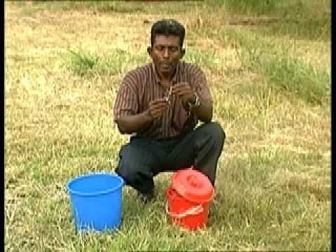 Rathu Kurumini Mardhanaya - YouTube