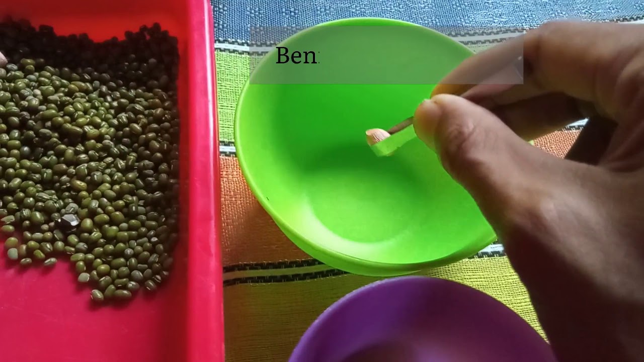 Pengujian Kemurnian Benih | Laboratorium Produksi & Teknologi Benih ...