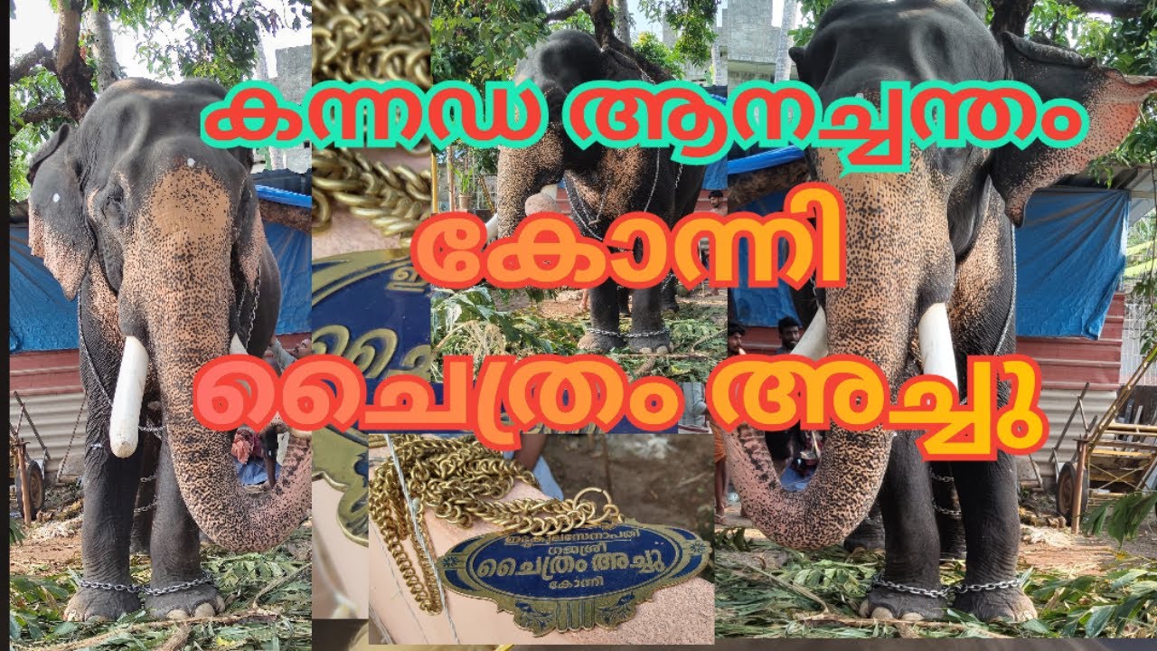 CHAITHRAM ACHU.... - YouTube