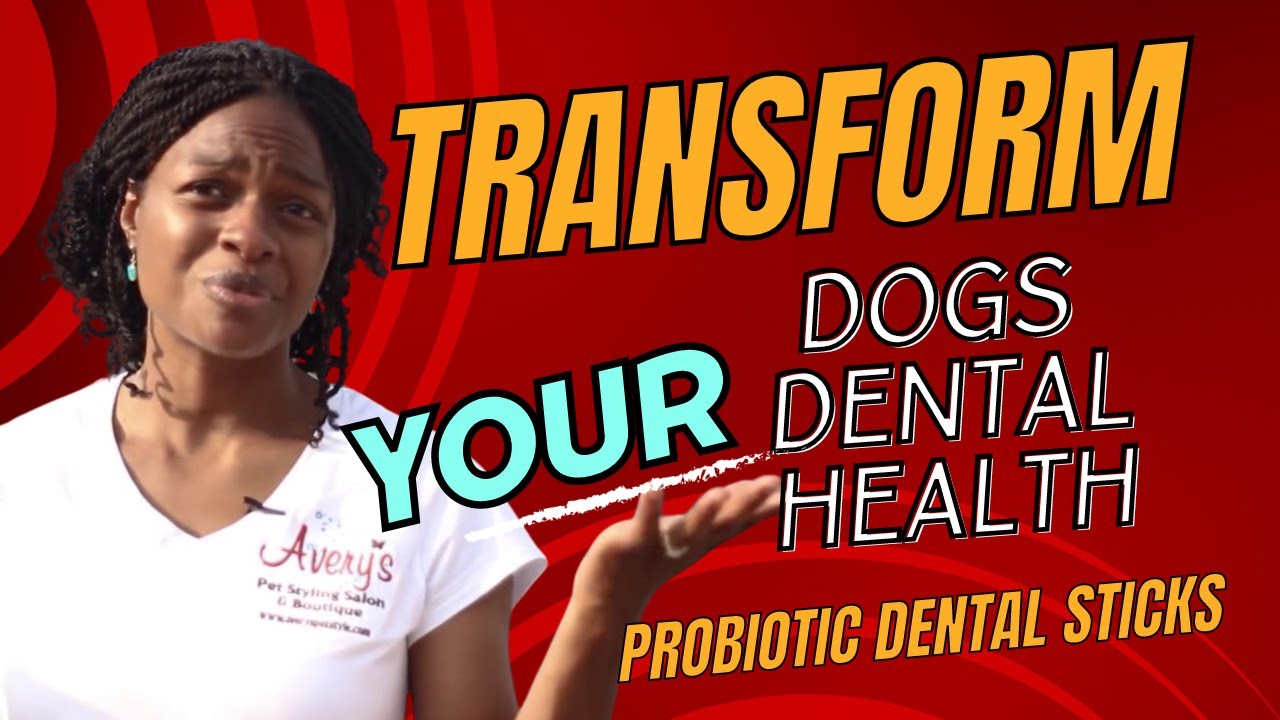 Discover the Benefits of Probiotic Dental Sticks for Dogs - YouTube