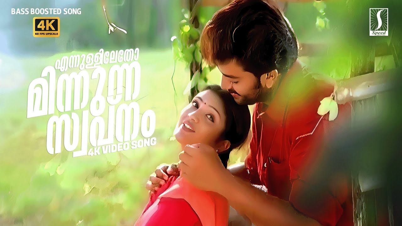 Ennulliletho Minnunna Swapnam Song | Meerayude Dukhavum Muthuvinte ...