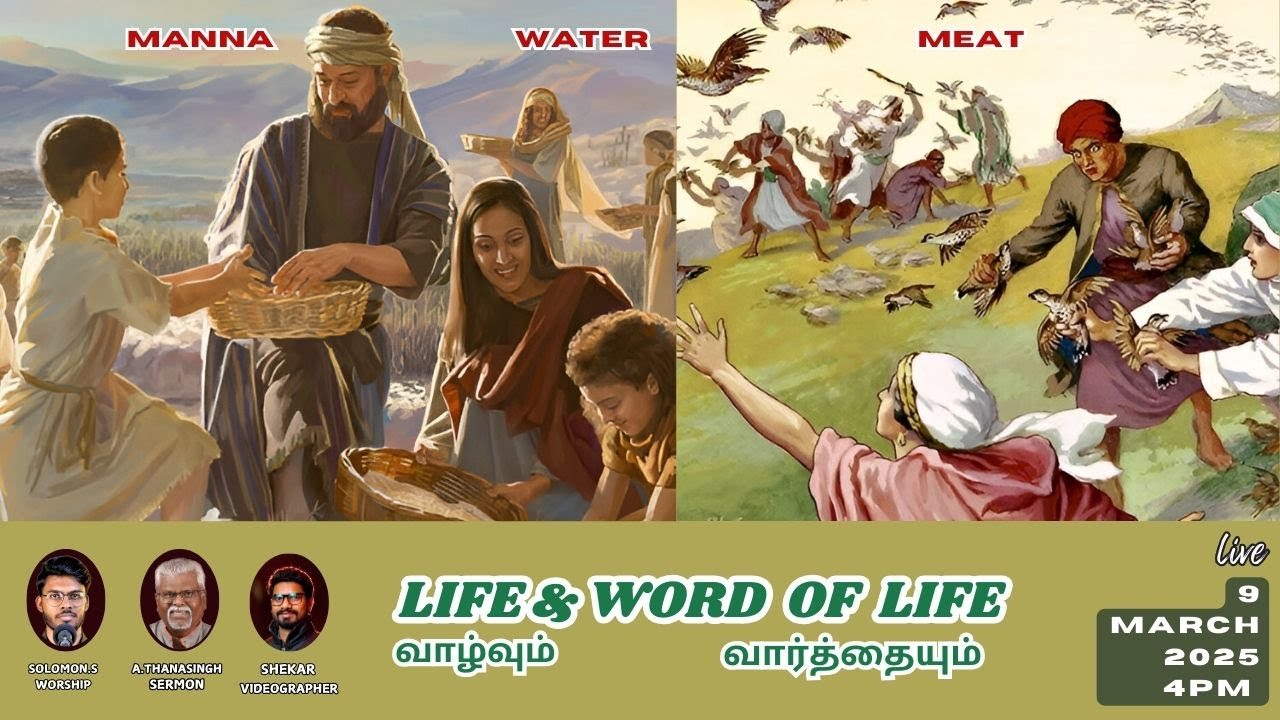MANNA, WATER & MEAT | LIFE & WORD OF LIFE | வாழ்வும் வார்த்தையும் ...