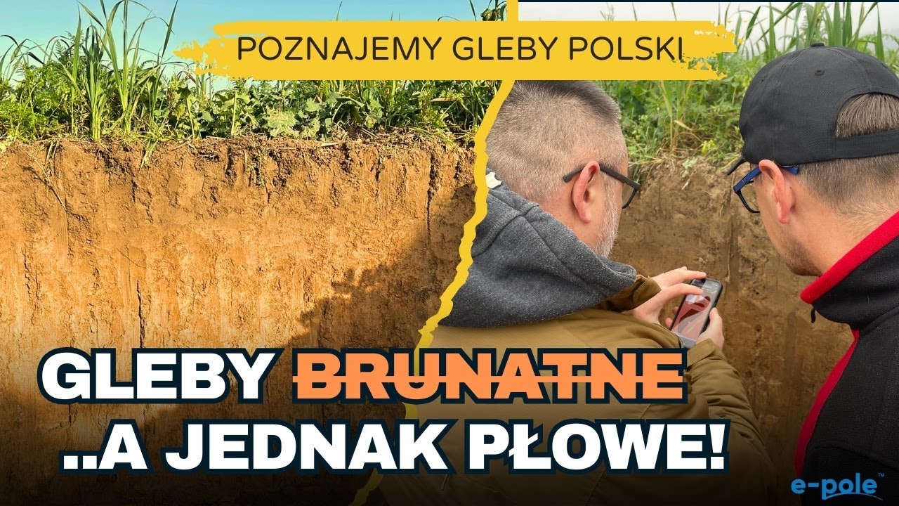 Miały być -brunatne-, a jednak to gleby płowe! Poznajemy gleby Polski ...