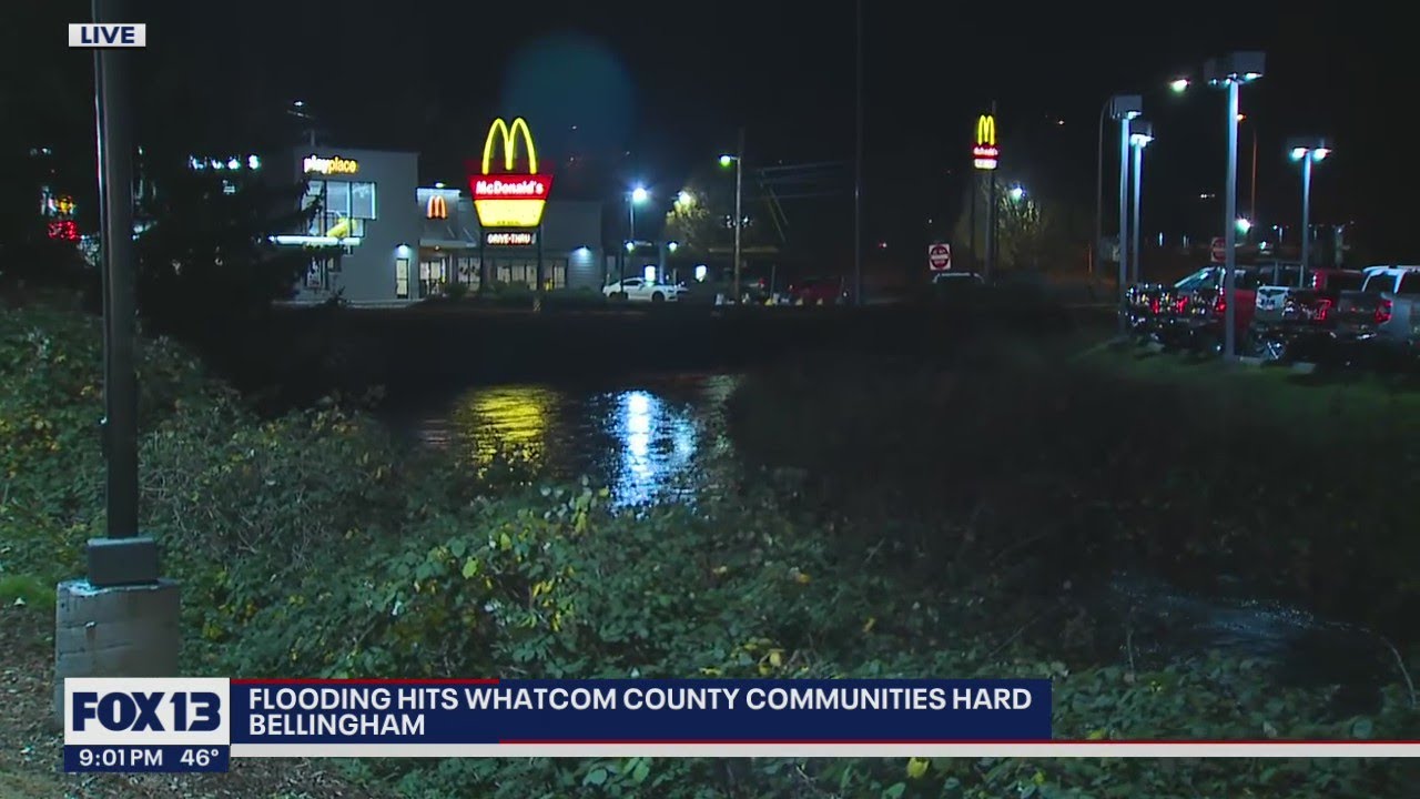 Flooding hits Whatcom County communities hard | FOX 13 Seattle - YouTube