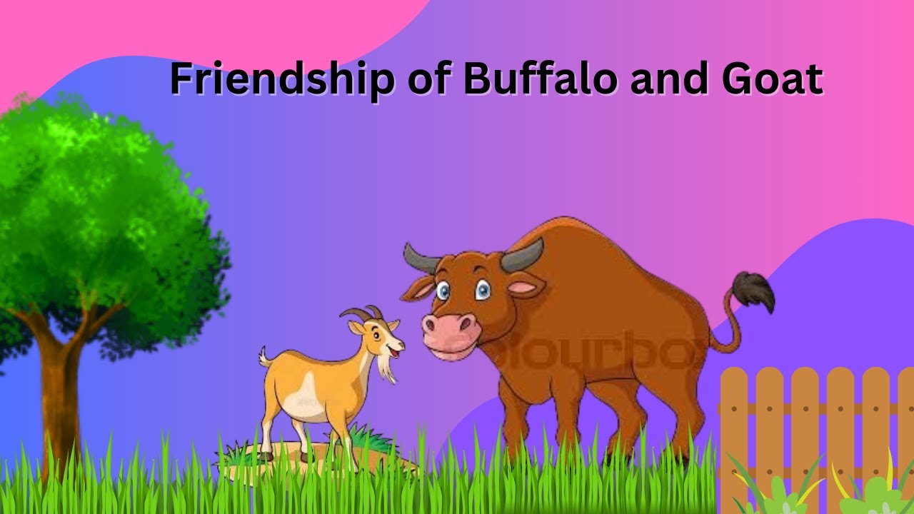 "The Surprising Bond Between a Huge Buffalo and a Tiny Goat!" - YouTube