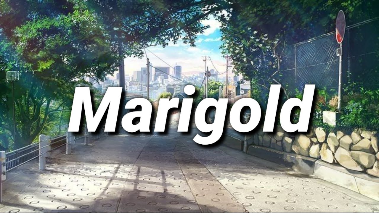 AIMYON - MARIGOLD 『マリーゴールド』 [Lyrics/Romaji] - YouTube