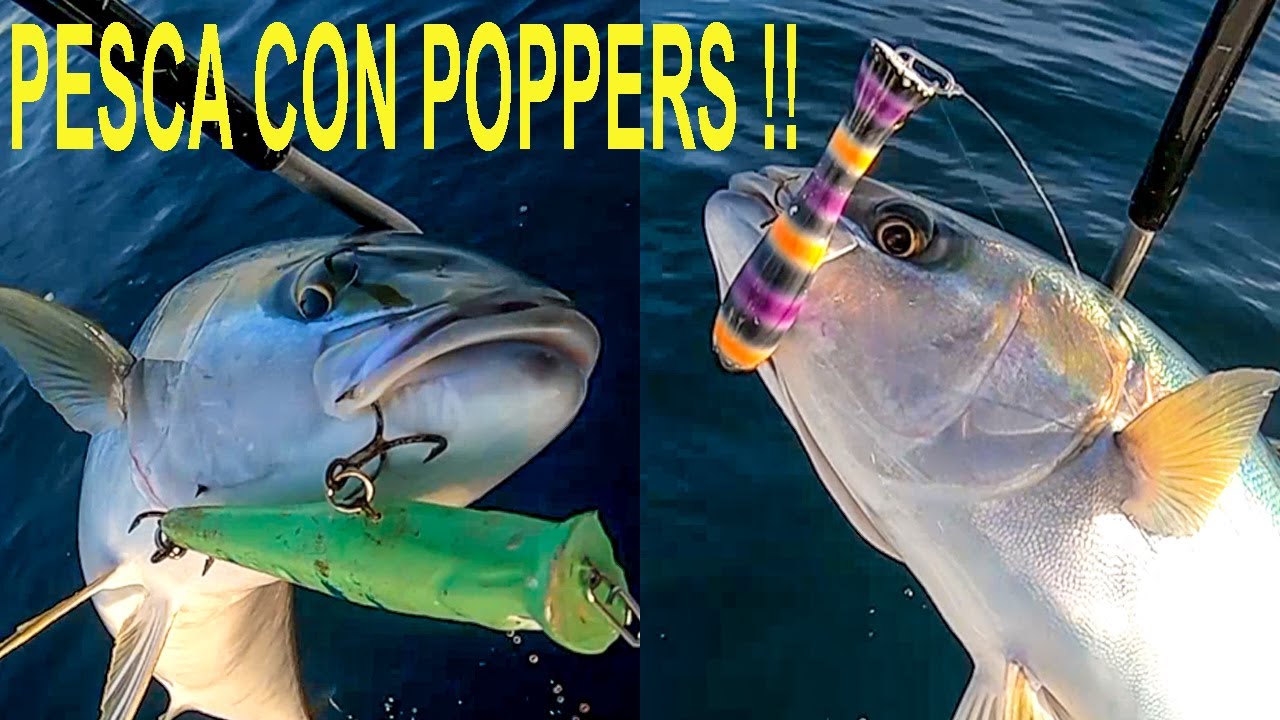 Pesca con POPPER en Mar - equipo ligero - YouTube