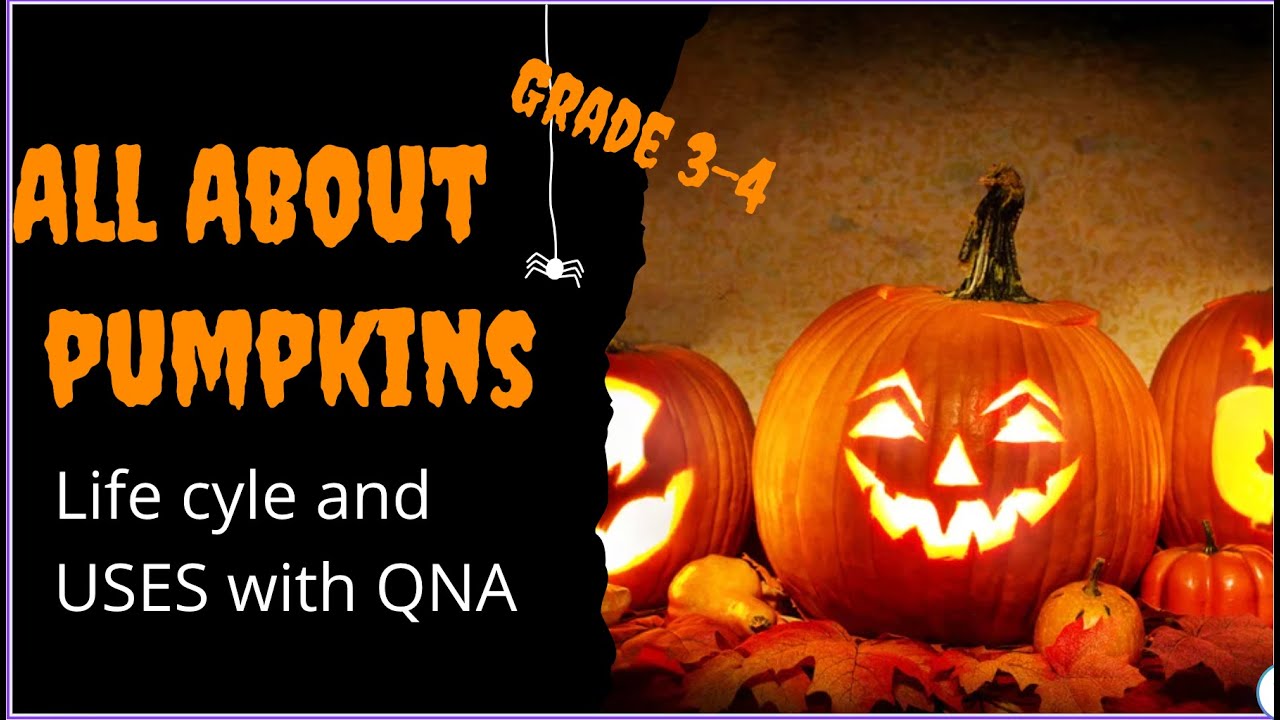 Science read along :All About pumpkins : Life cycle and QNA: Grade 3-4 ...