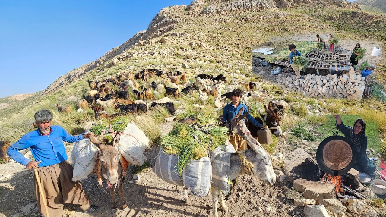 Nomadic life in mountain heart | Preparing roof, carrying fodder with ...