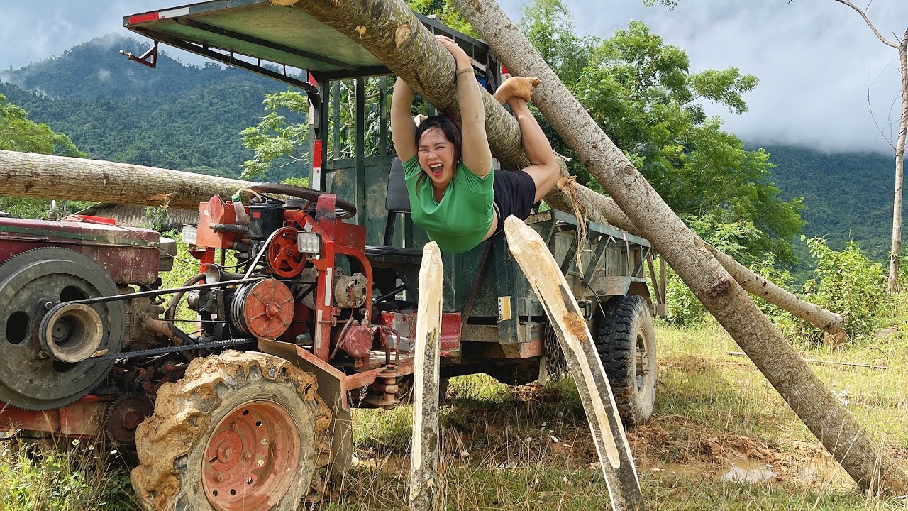 Agricultural vehicles transporting timber, cutting and stacking timber ...