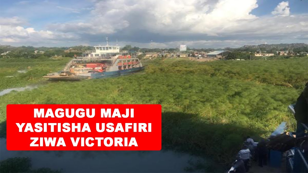MAGUGU MAJI YASITISHA HUDUMA YA USAFIRI ZIWA VICTORIA - YouTube