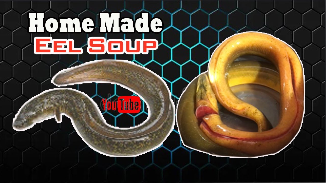 How to cooking Home Made Eel Fish Soup! #food #homemadefood #homemade # ...