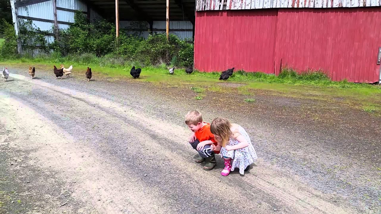 Ethan and LilE the "chickens"! - YouTube