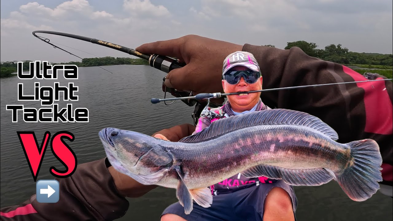 Ultra Light Casting Small Minnow VS Good Size 3.6kg Single Toman - YouTube