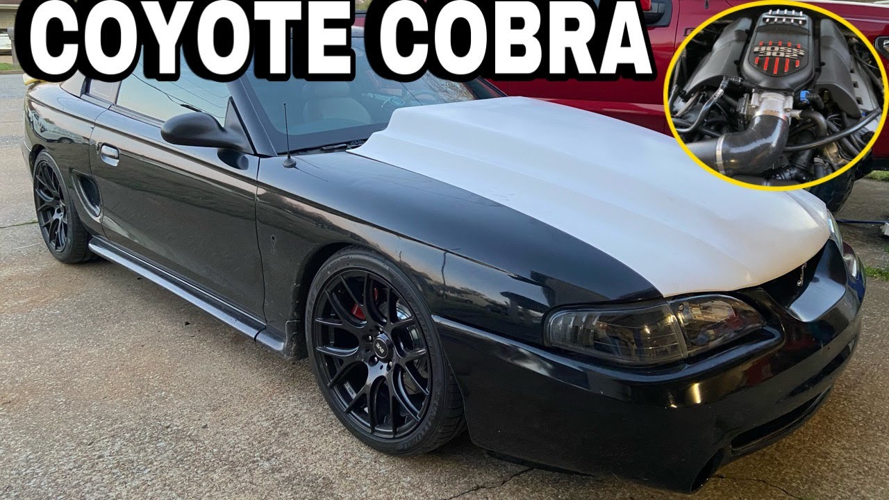 NOT YOUR TYPICAL 97 COBRA! I get to drive a Coyote Swapped Cobra! - YouTube