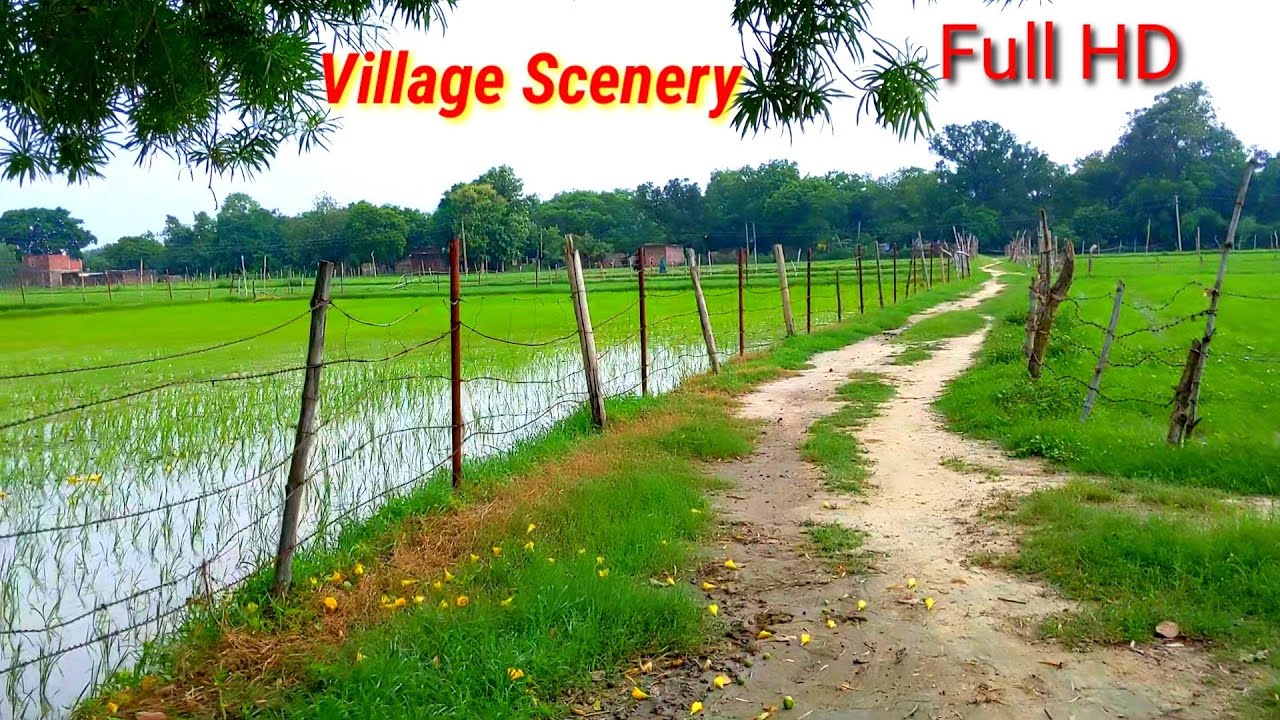 Relaxing Flute Music & Village Full HD Nature |Village Beutiful Scenery ...