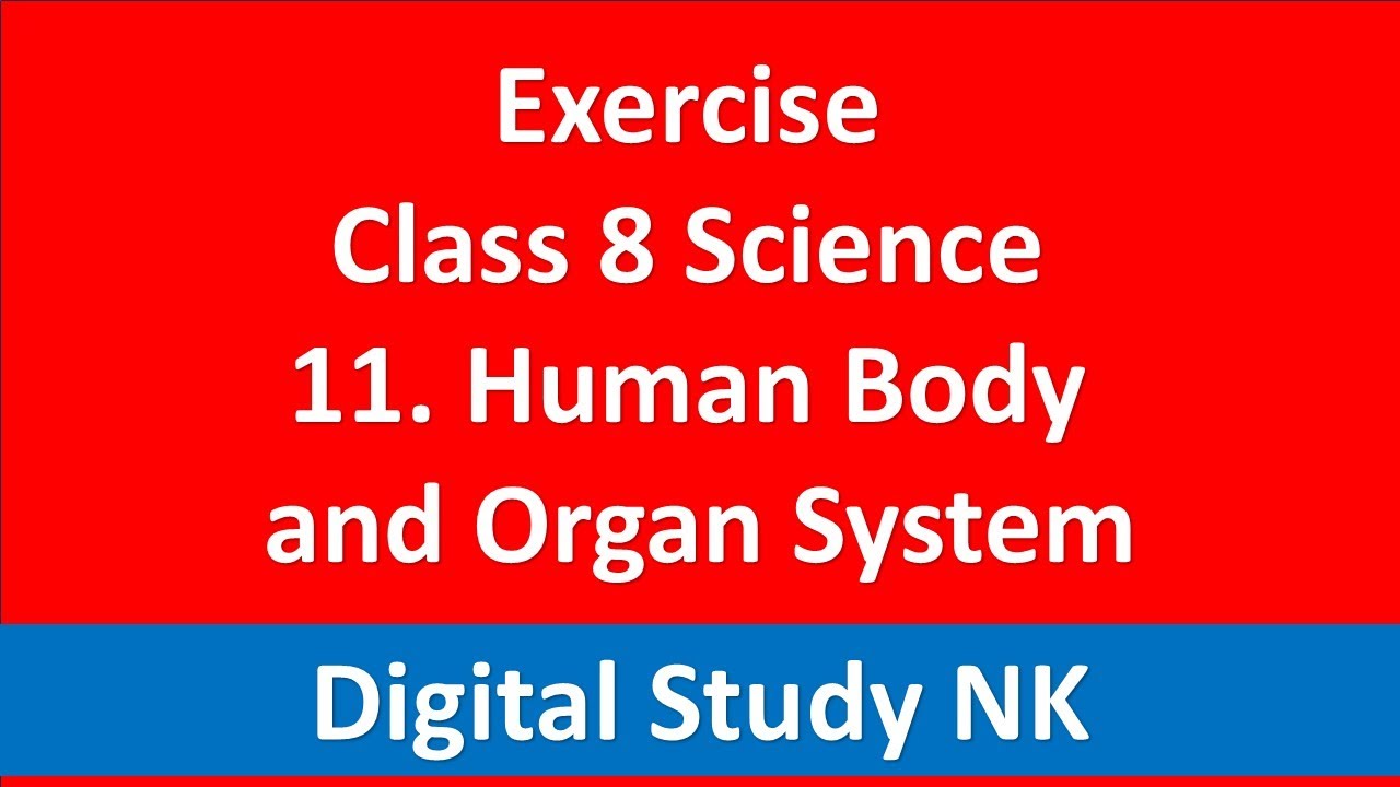 class 8 science chapter 11 human body and organ system l Exercise Human ...