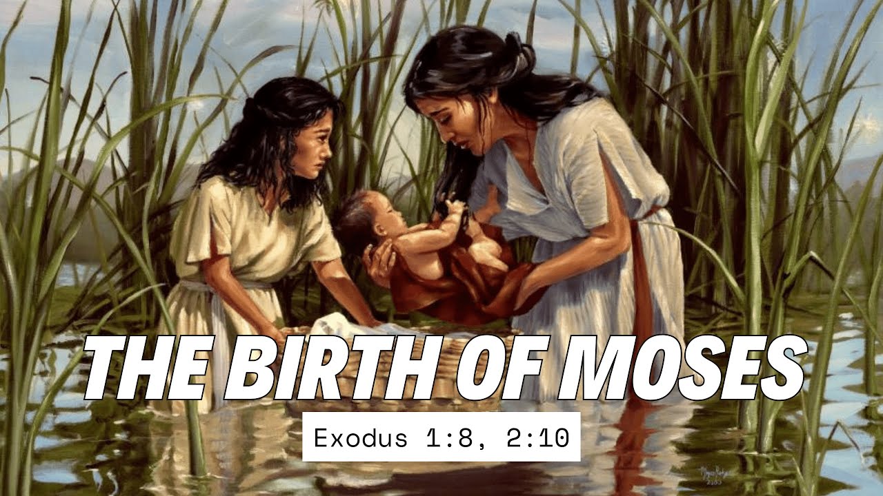 The Birth of Moses - Bible Stories - The book of Exodus 1:8 - 2:10 ...