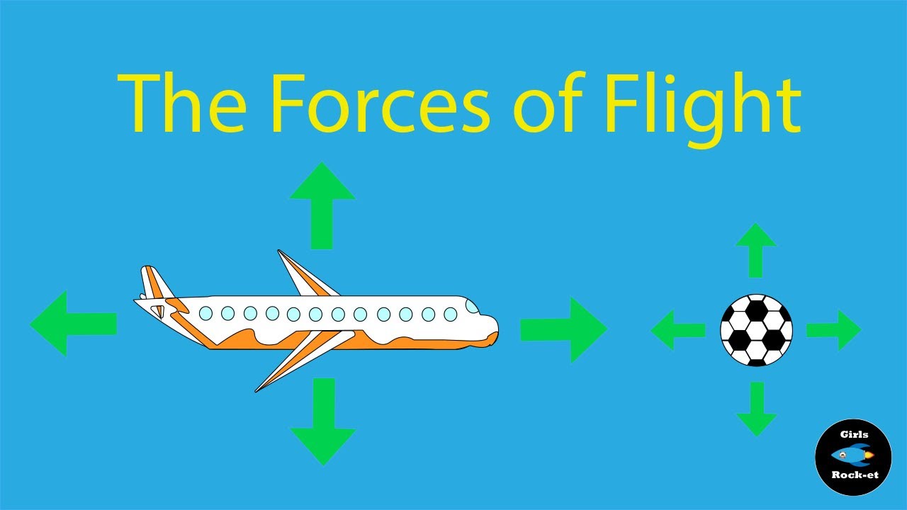 4 Forces of Flight (Similar to the Forces That Affect a Soccer Ball ...