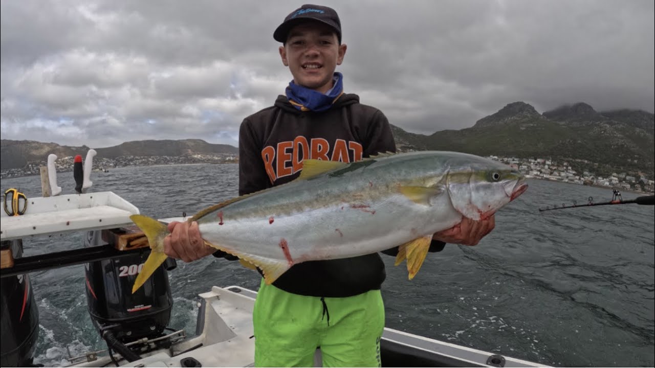 Huge Yellowtail At Kalk Bay - YouTube