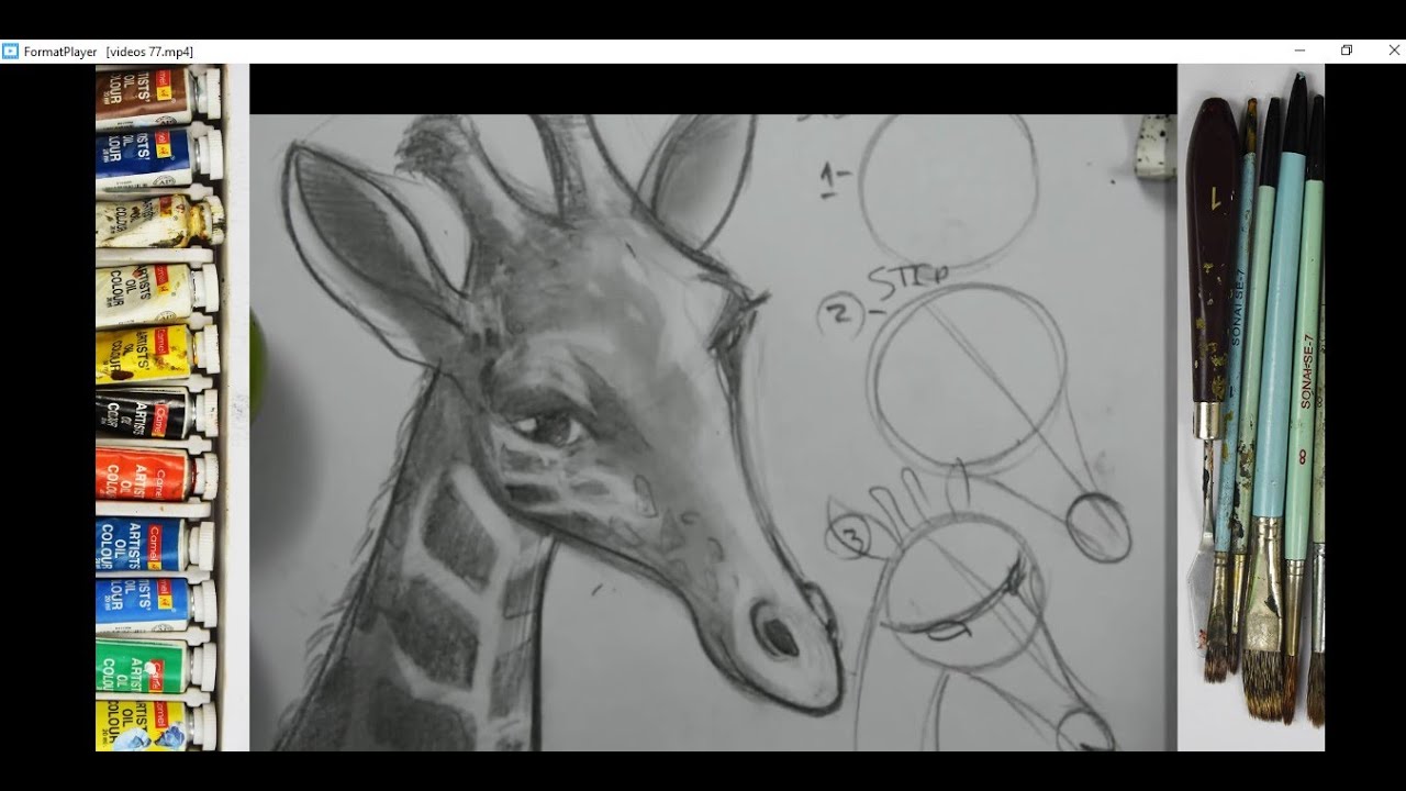 How to draw giraf I pencile drawing I - YouTube