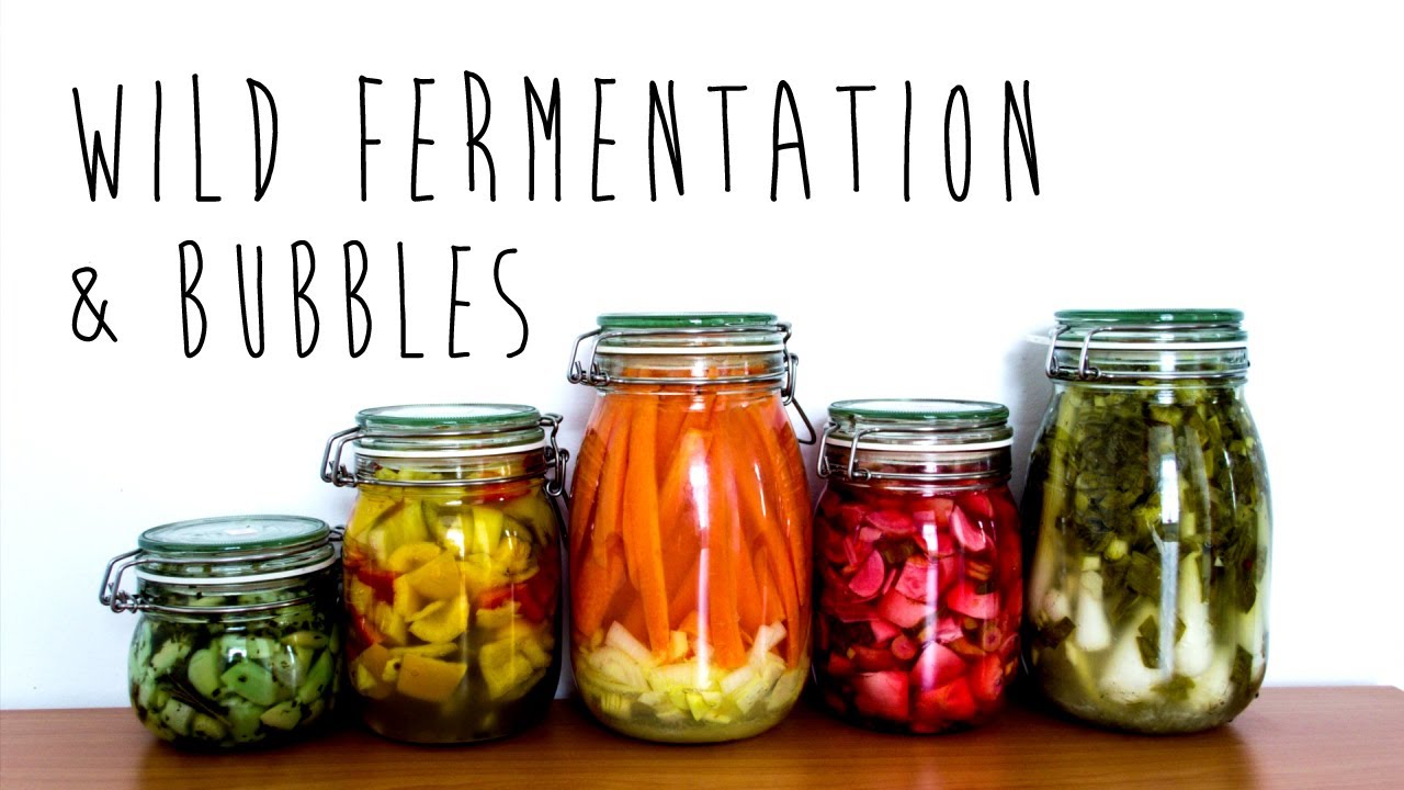 Wild Fermentation & Bubbles! - YouTube
