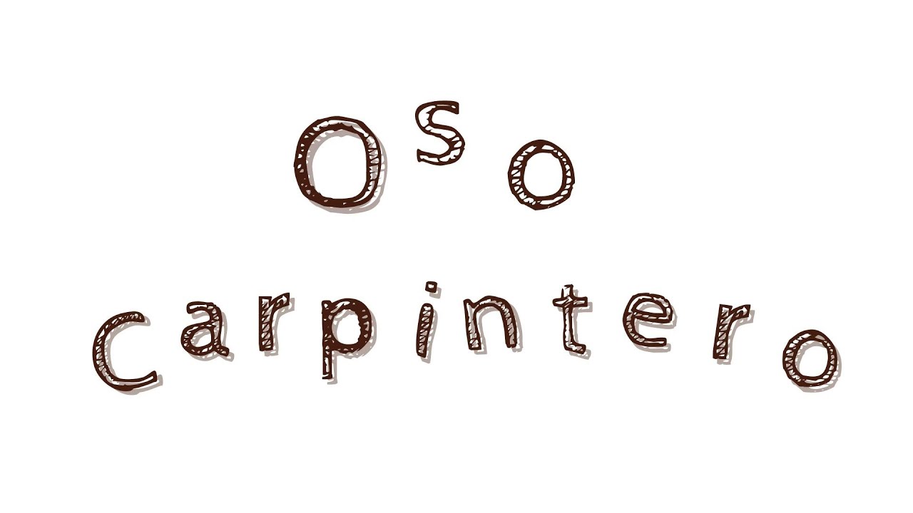 Oso carpintero - YouTube