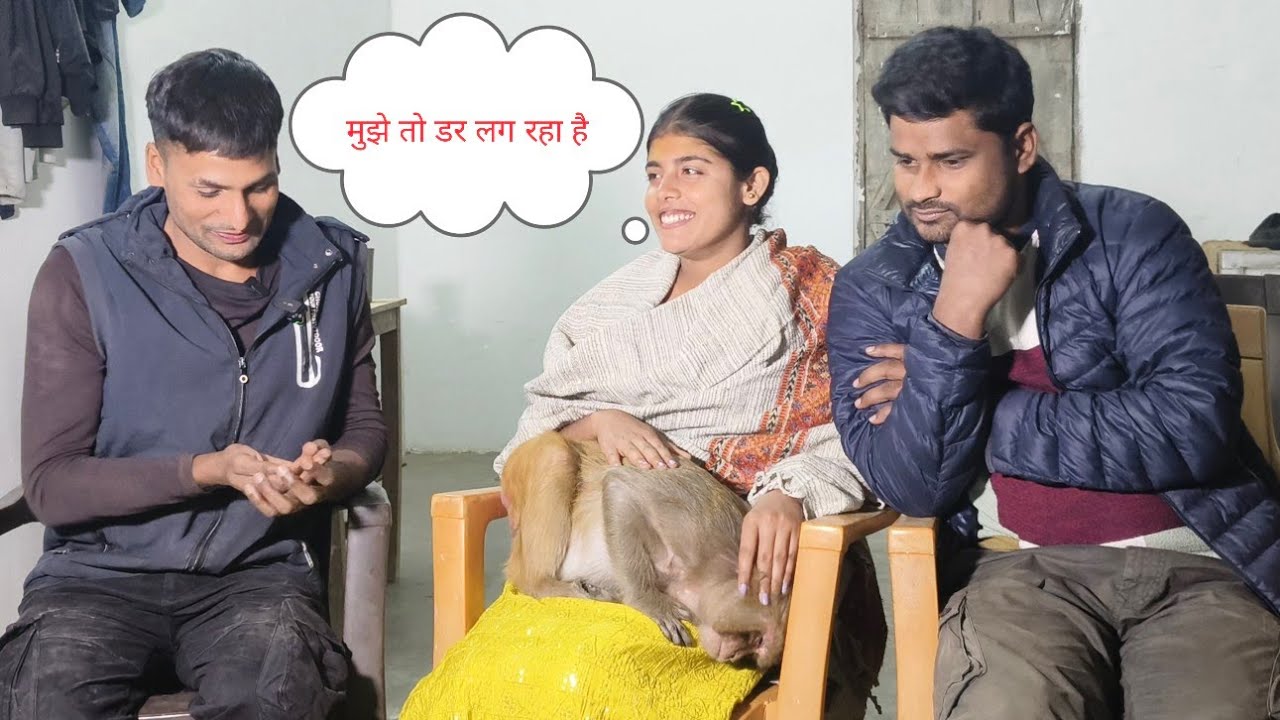 मंकी रानी न्यूज़ रिपोर्टर के ऊपर कैसे बैठी है 😃।। Akash Monkey Rani ...