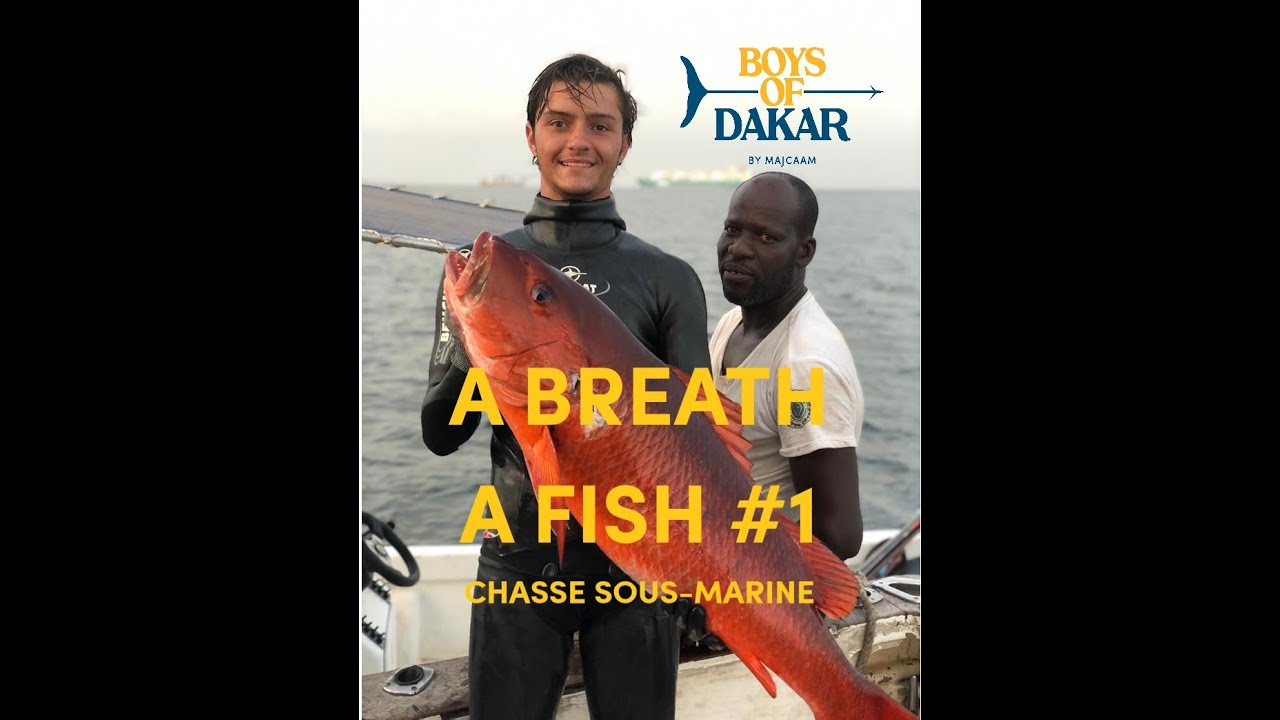 Review & How To Videos – B Daniel Roller Spearguns