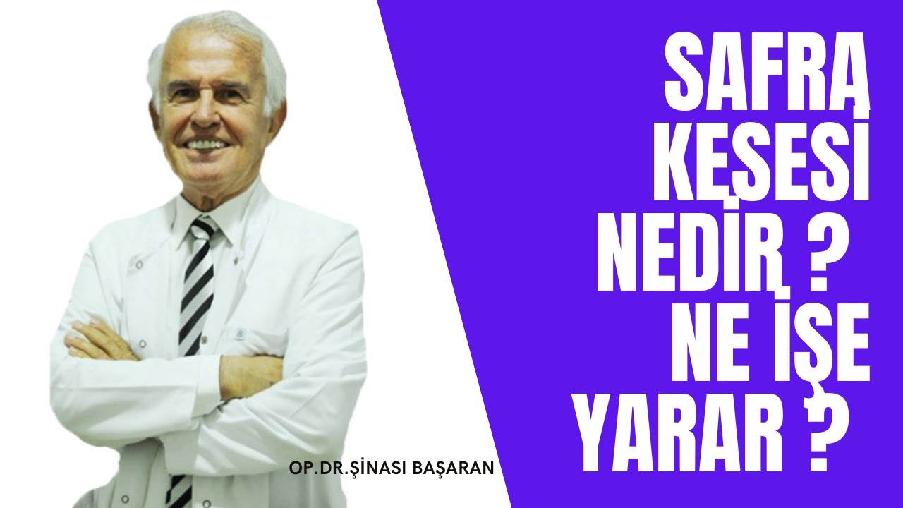 Safra Kesesi Nedir ? Ne işe Yarar ? - YouTube