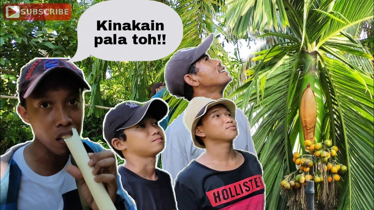 Ginataang Ubod ng bunga (Areca nut/Betel nut tree) Napakasarap pala ...