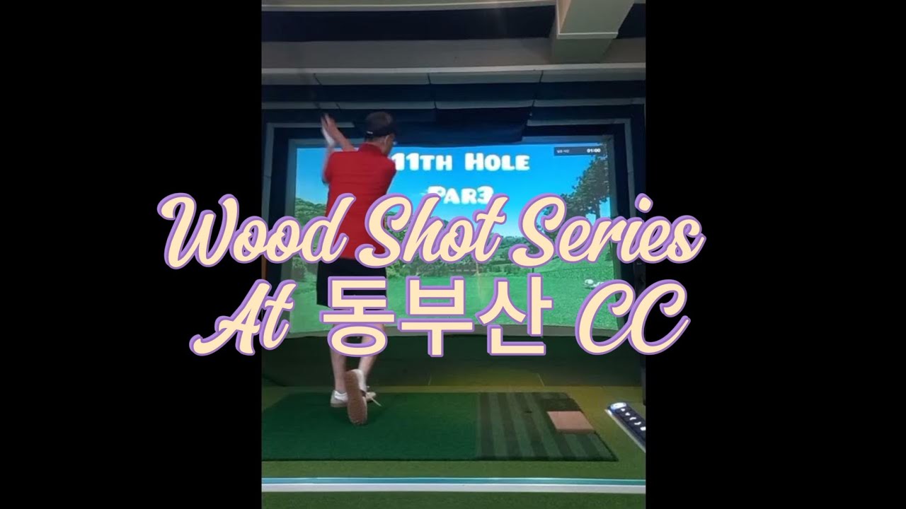 Wood Shot Series At 동부산 CC #golfswing #golf #FriendsScreen_Quantum ...