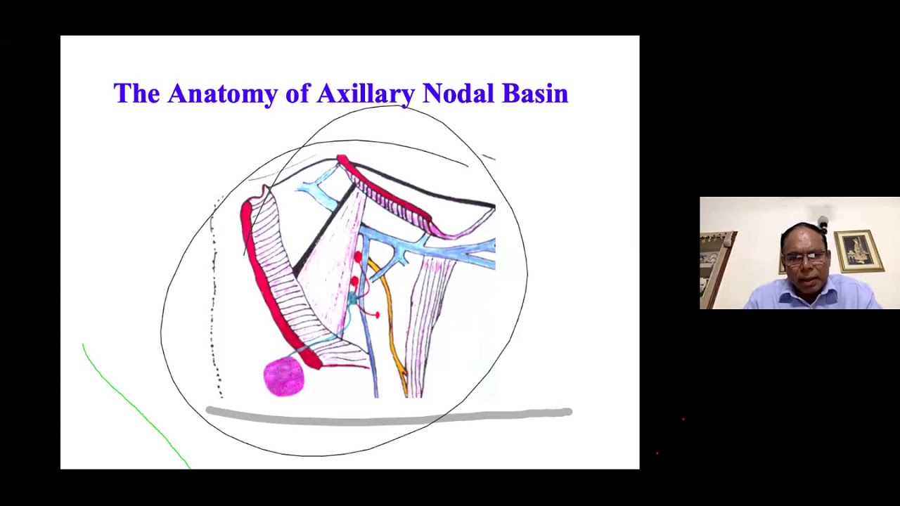 Management of Axilla - YouTube