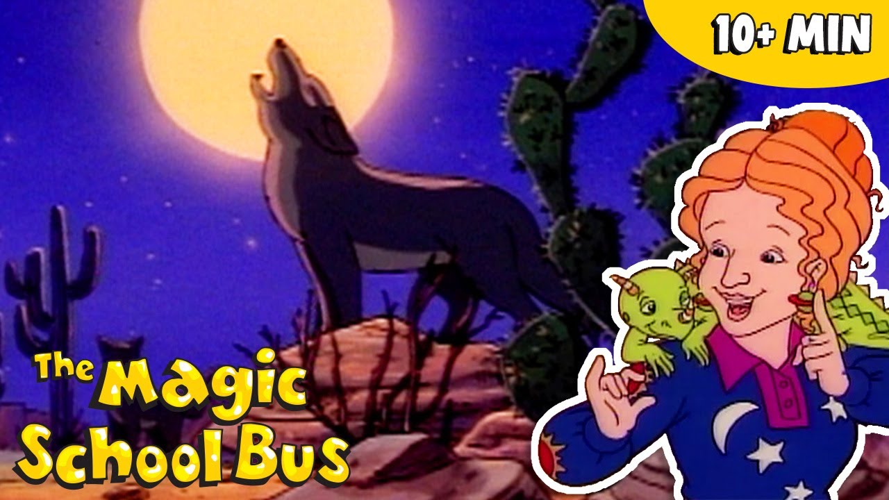 Nocturnal Creatures | Halloween Science | Science for Kids | The Magic ...