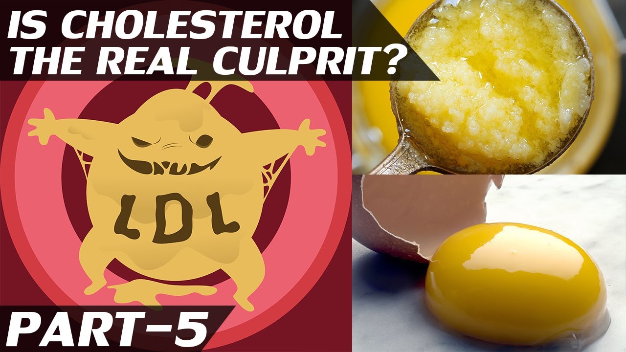 IS CHOLESTEROL THE REAL CULPRIT? THE TRUTH ABOUT SATURATED FATS & LDL ...
