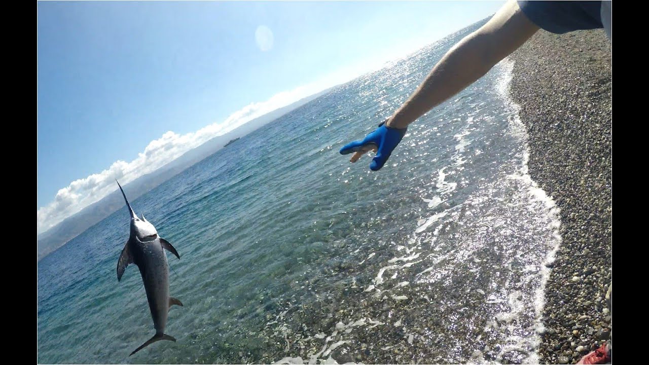 Pesce Spada Shore Jigging - YouTube