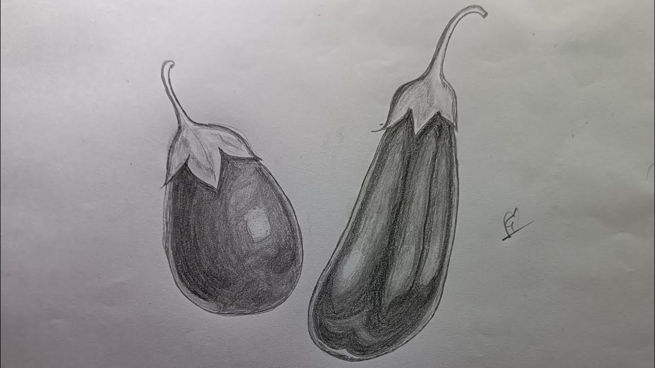 How to draw brinjal - YouTube