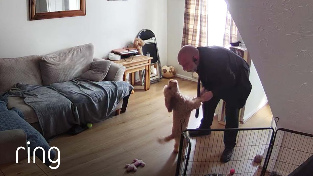 Man and His Dog Have a Singing Competition | RingTV - YouTube