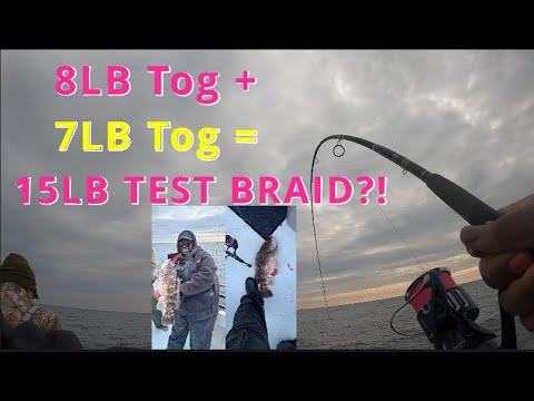 Catching Big Tog on 15 Lb Braid | Fish Bound Charters - YouTube