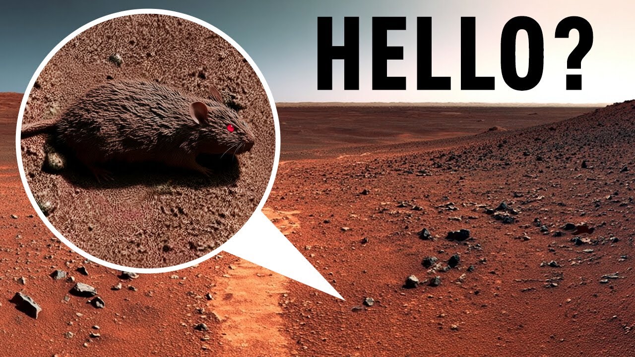 Breaking: You Won’t Believe What NASA’s Mars Rover Just Captured on ...