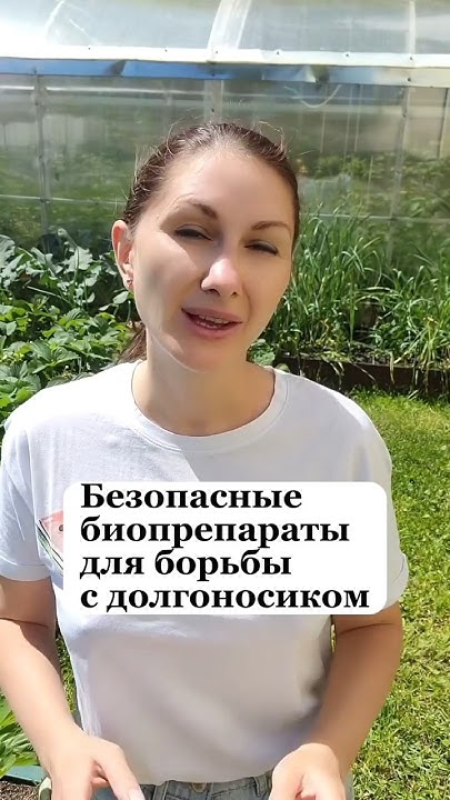 Безопасные препараты для борьбы с долгоносиком #огород #сад #вредители ...