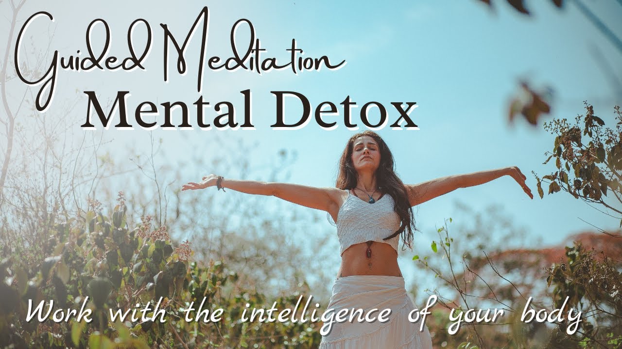 Mental Detox Meditation | Regulate The Nervous System & Take The Path ...