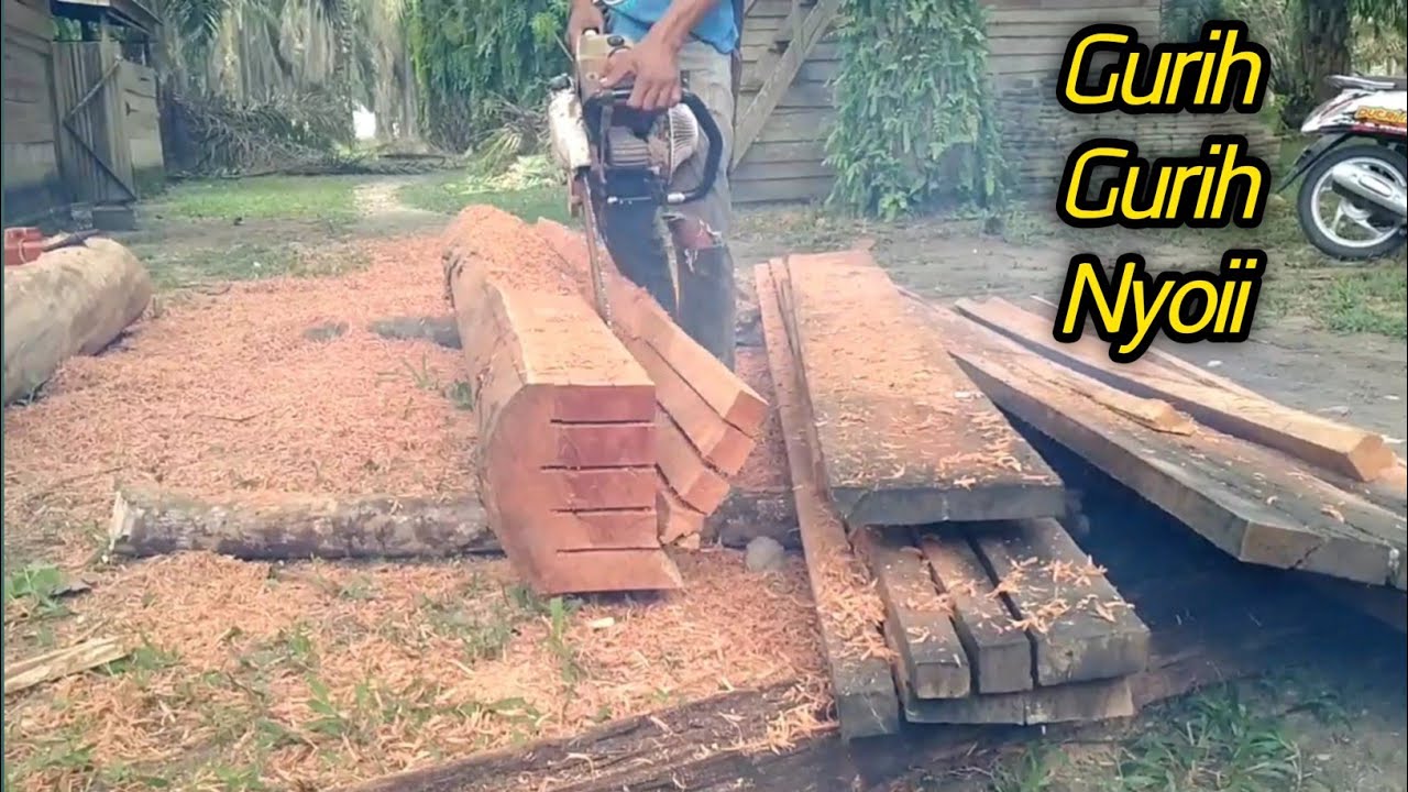Belah Kayu Balam Merah Dibuat Ukuran Broti | Gergaji Mesin Senso Pro1 ...
