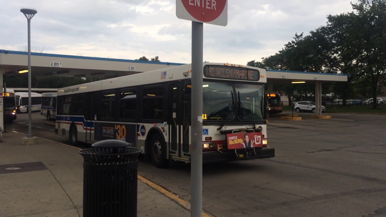 CTA D40LF New Flyer Route 81 Lawrence - YouTube
