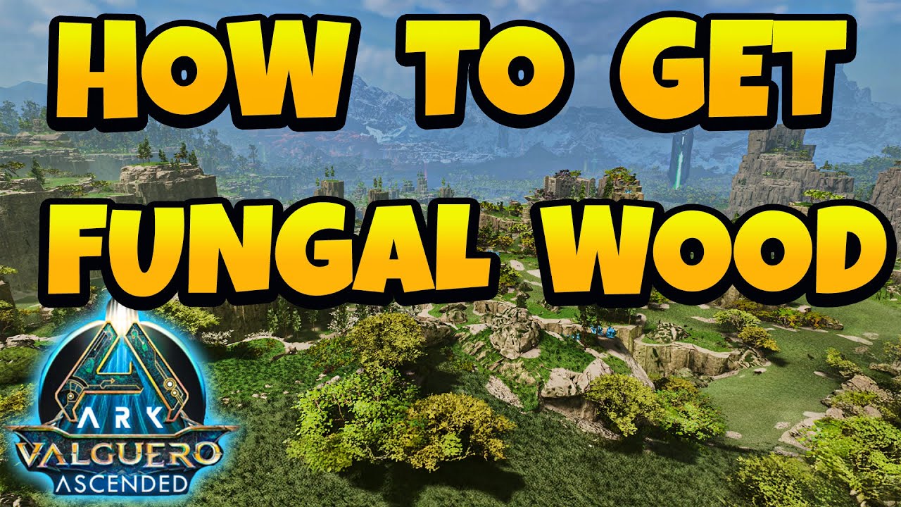How to Get Fungal Wood in ARK Ascended - Valguero Map - YouTube